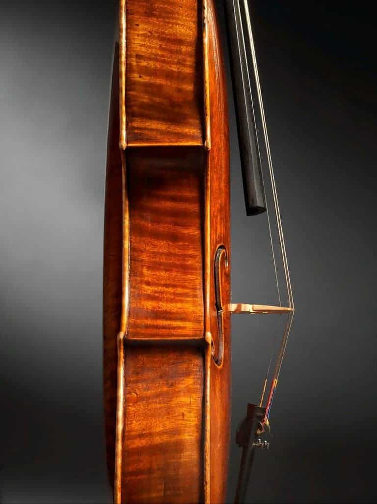 Viola maintenance and care (16 key things) | Stars & Catz
