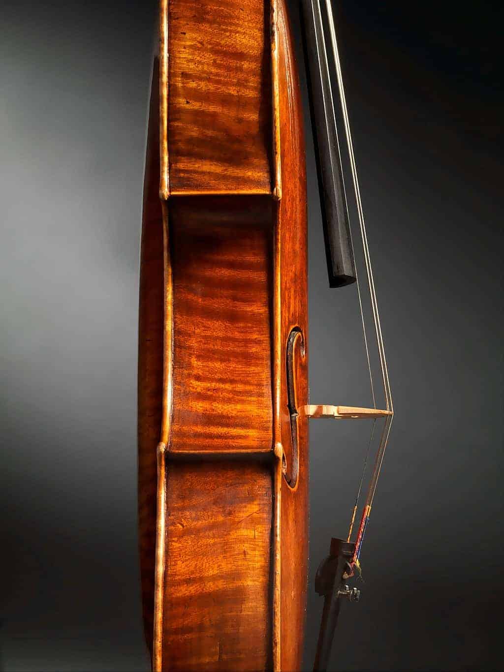 16 viola maintenance tips (essential for beginners) | Stars & Catz