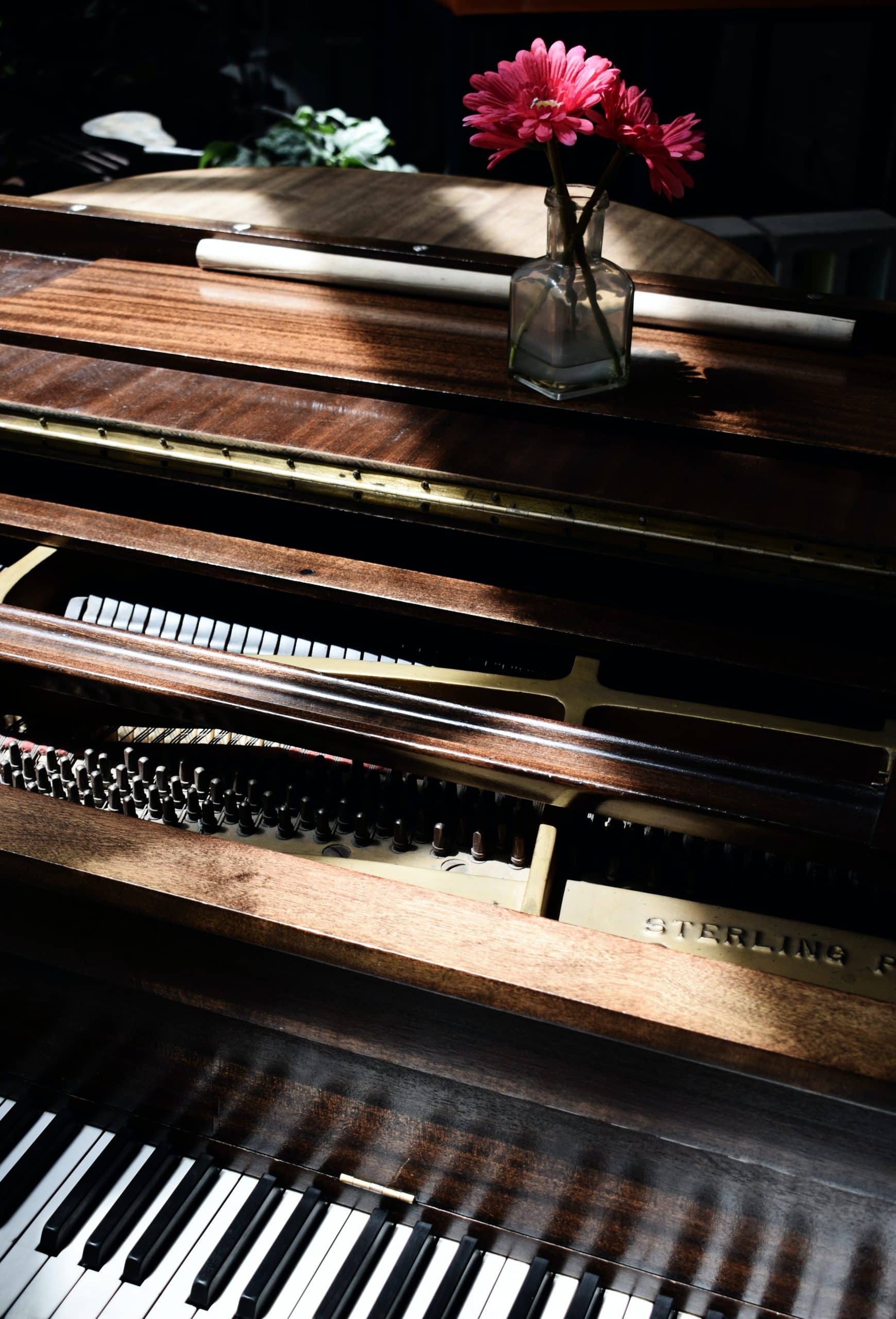 Piano maintenance and care (16 key things) | Stars & Catz